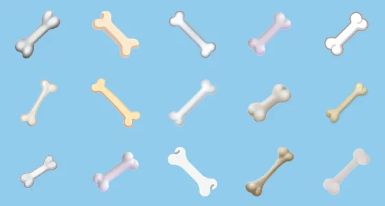 🦴 Bone Emoji