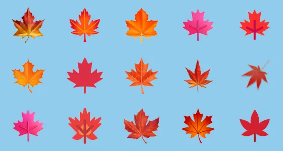 🍁 Maple Leaf Emoji